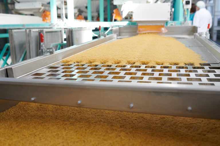 Feeders for the Food Industry - Genesis Process Solutions